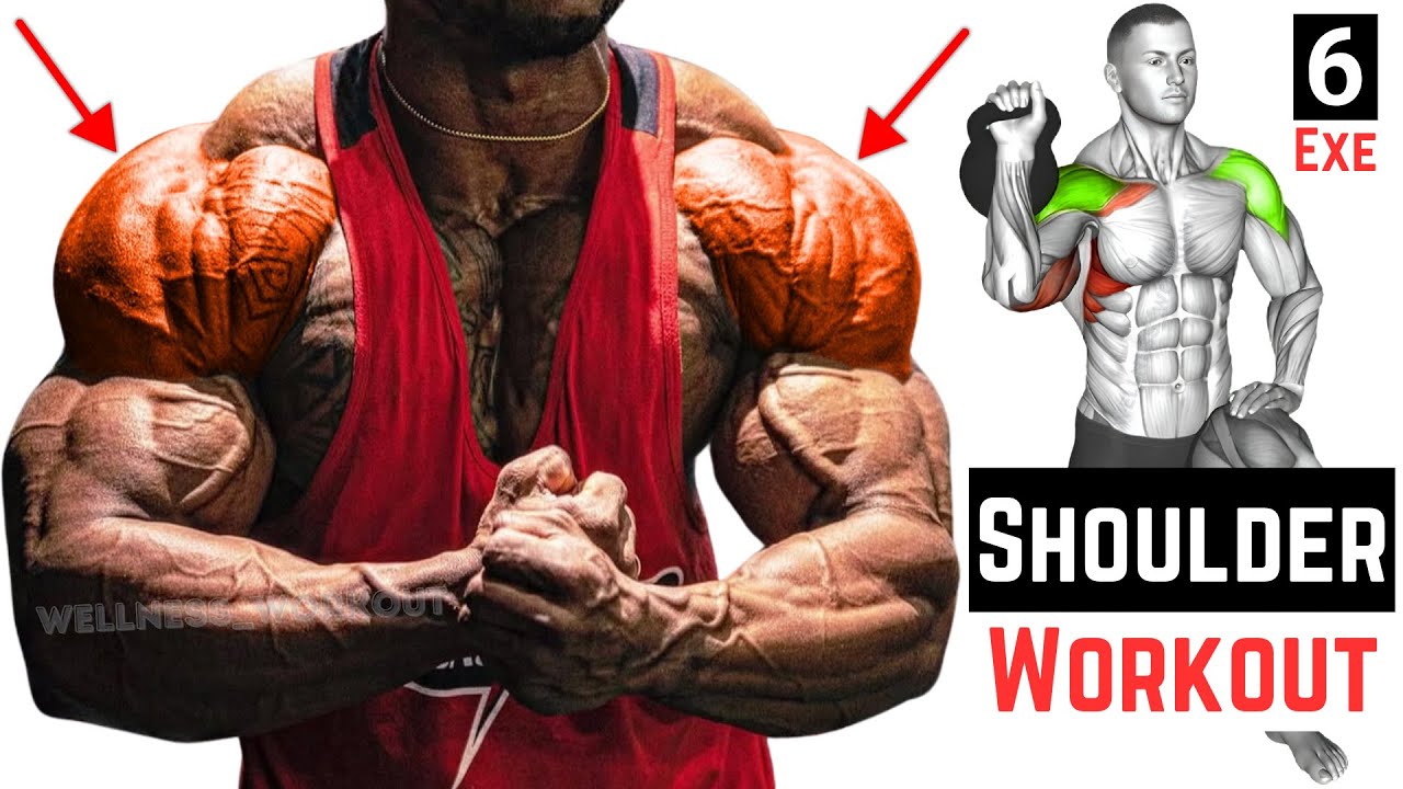 Shoulder Exercises for Muscle Growth | Best Shoulder Workout - YouTube