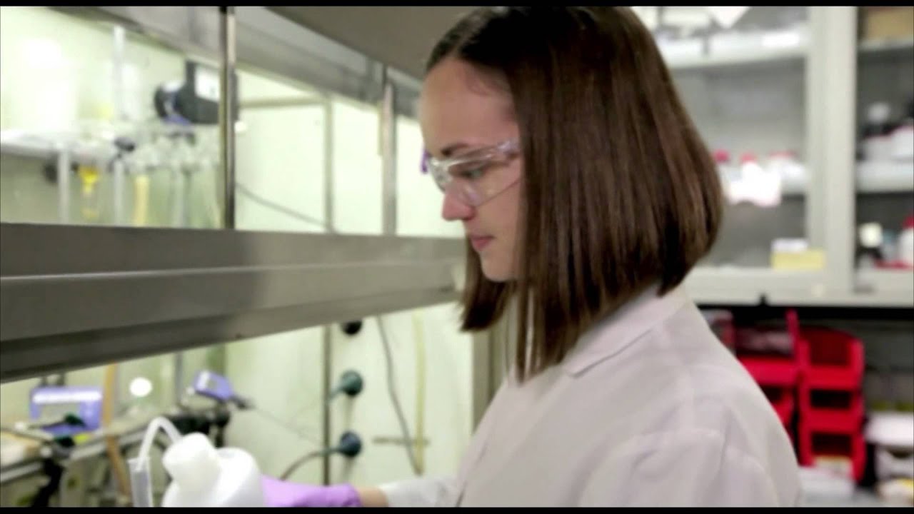 'België, Fantastisch farmaland' Leo Neels - YouTube