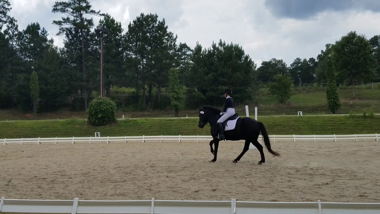 Prix Caprilli Test 1 Hilltoppers Pony Club Show at Ashland Farm - YouTube