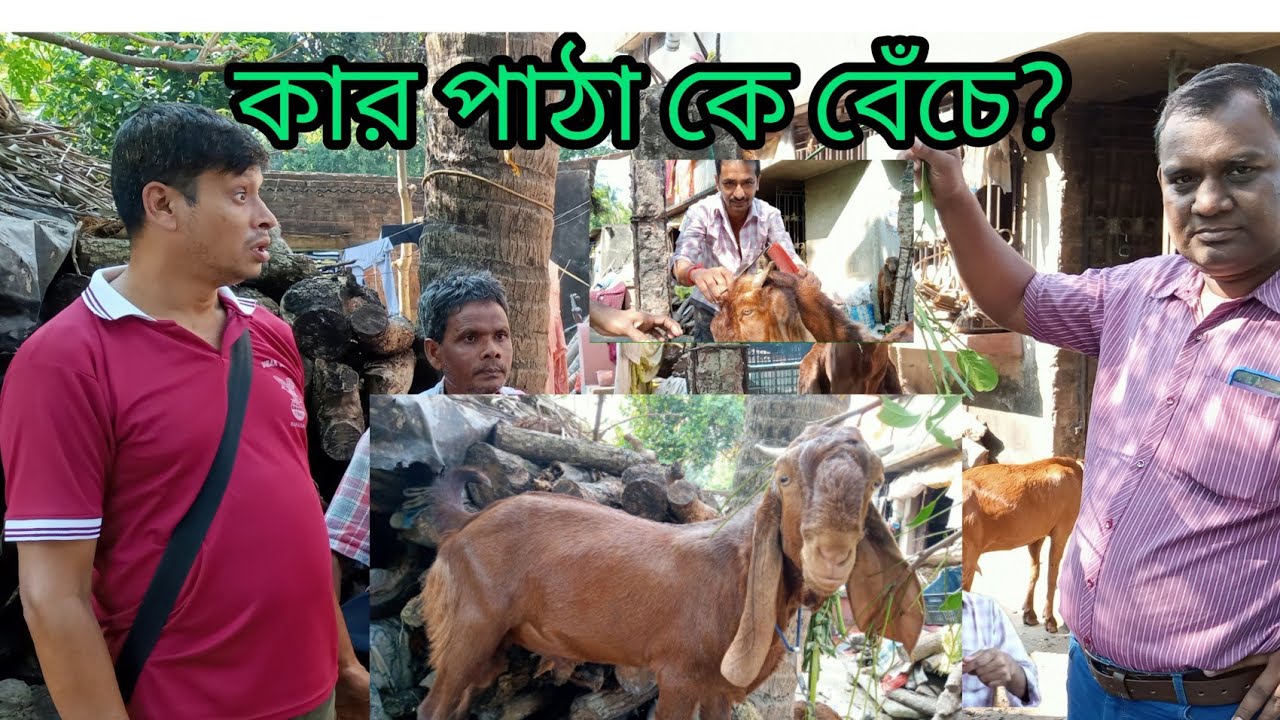 Kar patha ka bacha - YouTube