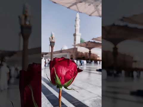 Ila man Uhibbu - To the one I love Nasheed