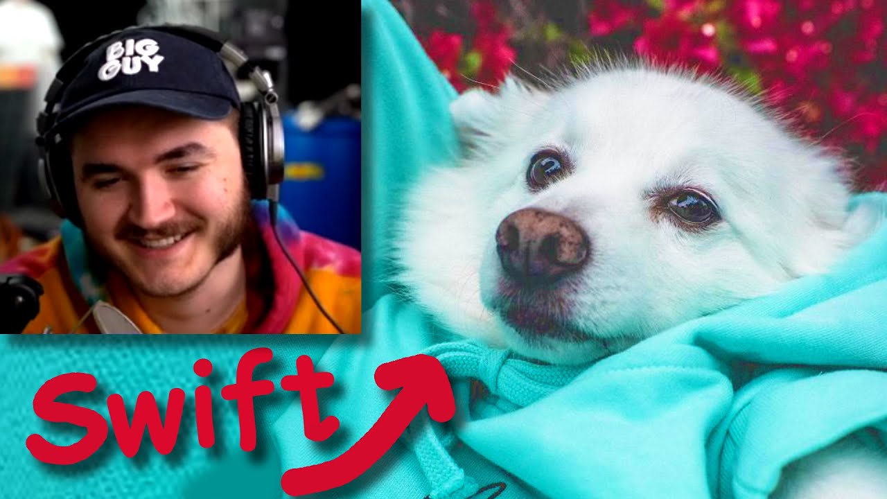 schlatt reacts to ludwig's dog - YouTube