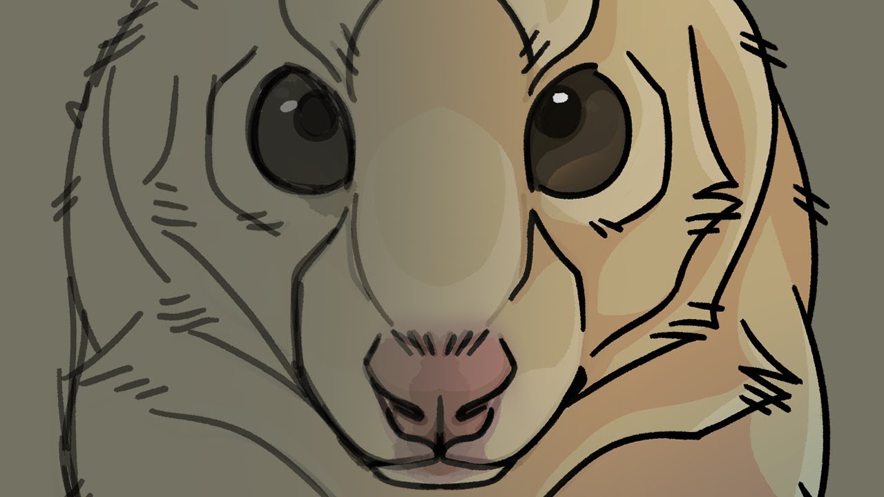 Speed Draw - Hamster Pet Portrait - YouTube