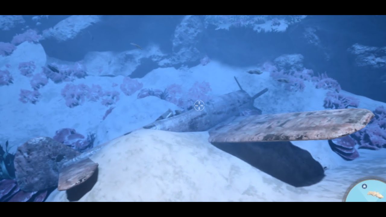 Morels: The Hunt 2 - Ocean Islands, going diving - YouTube