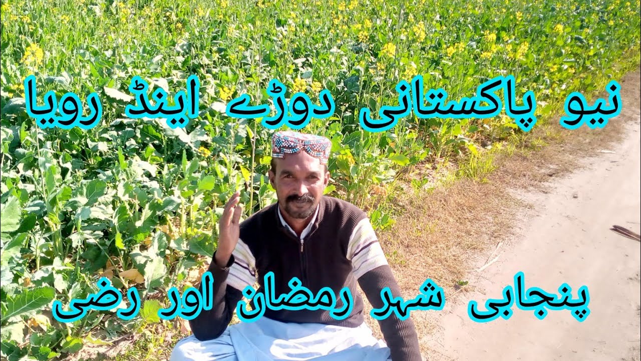 new Pakistani| saraiki |Punjabi daude #habib#tvsk 2023 - YouTube