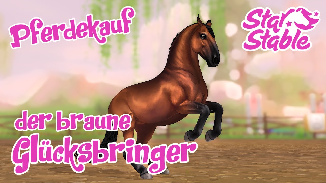 Star Stable [SSO] Pferdekauf - Der braune Glücksbringer (Lipizzaner ...