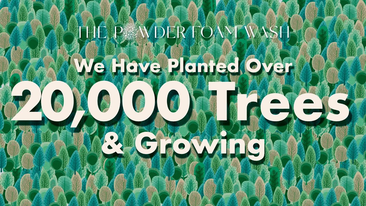 We've Planted Over 20,000 Trees & Growing - YouTube