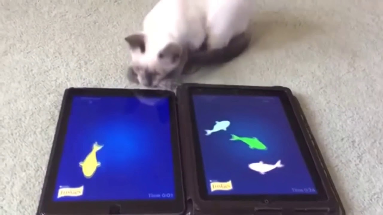 Jokes 7 days #234 - YouTube