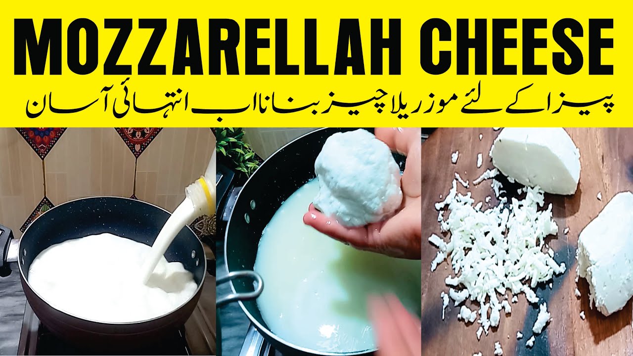 Mozzarella Cheese Recipe | How to Make Mozzarella Cheese at Home ...