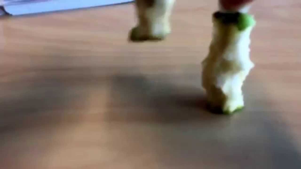 Pear Dance - YouTube