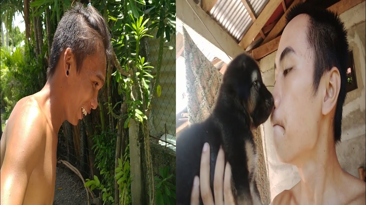 MEET MY DOG BURNEK. - YouTube