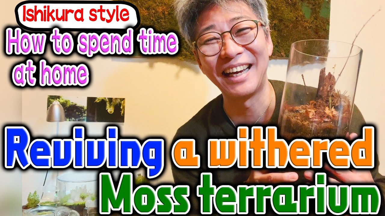 No.107 【Ishikura style How to spend time at home】Reviving a withered ...