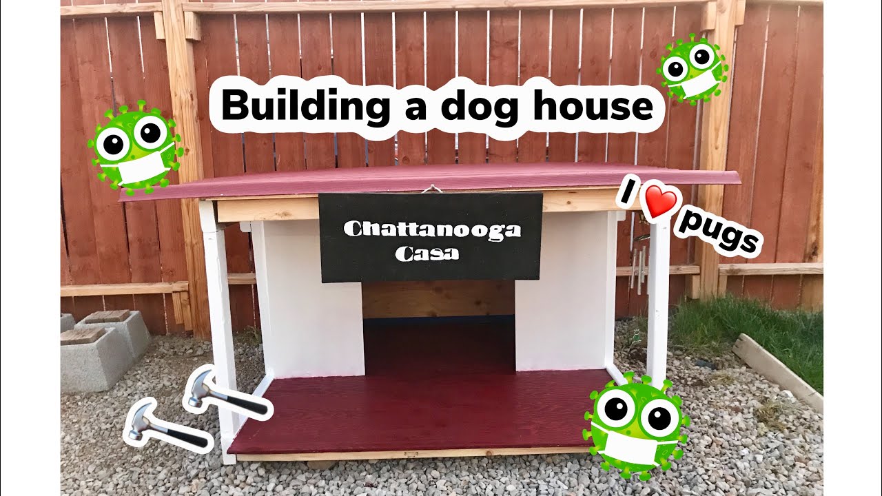 BUILDING A DOG HOUSE DURING QUARANTINE! | PUGS - YouTube