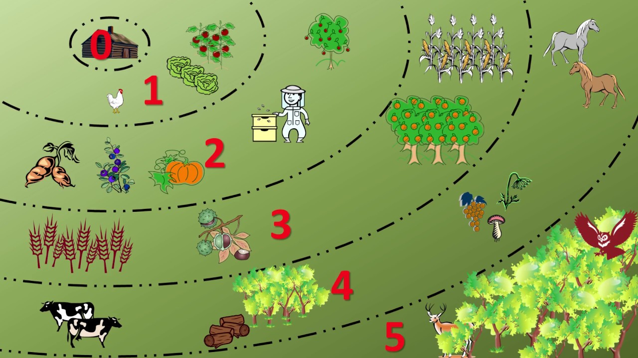 Permaculture Basics: An Introduction to Zoning - YouTube