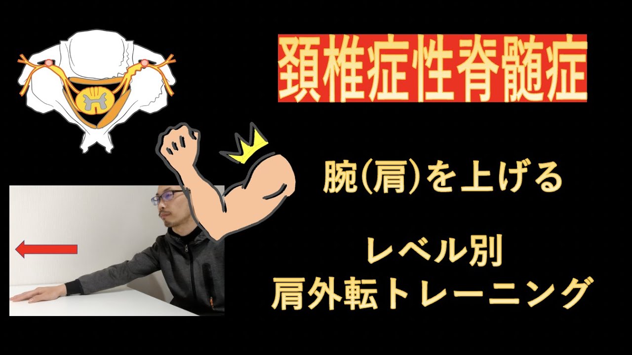 頚椎症性脊髄症のリハビリテーション 座ってできる肩甲骨運動(前方突出)で前鋸筋を鍛える Youtube