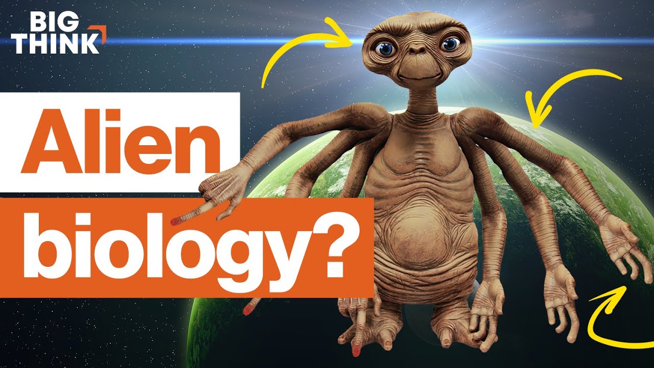 Alien biology: What might ET actually look like? | Michio Kaku, E.O ...
