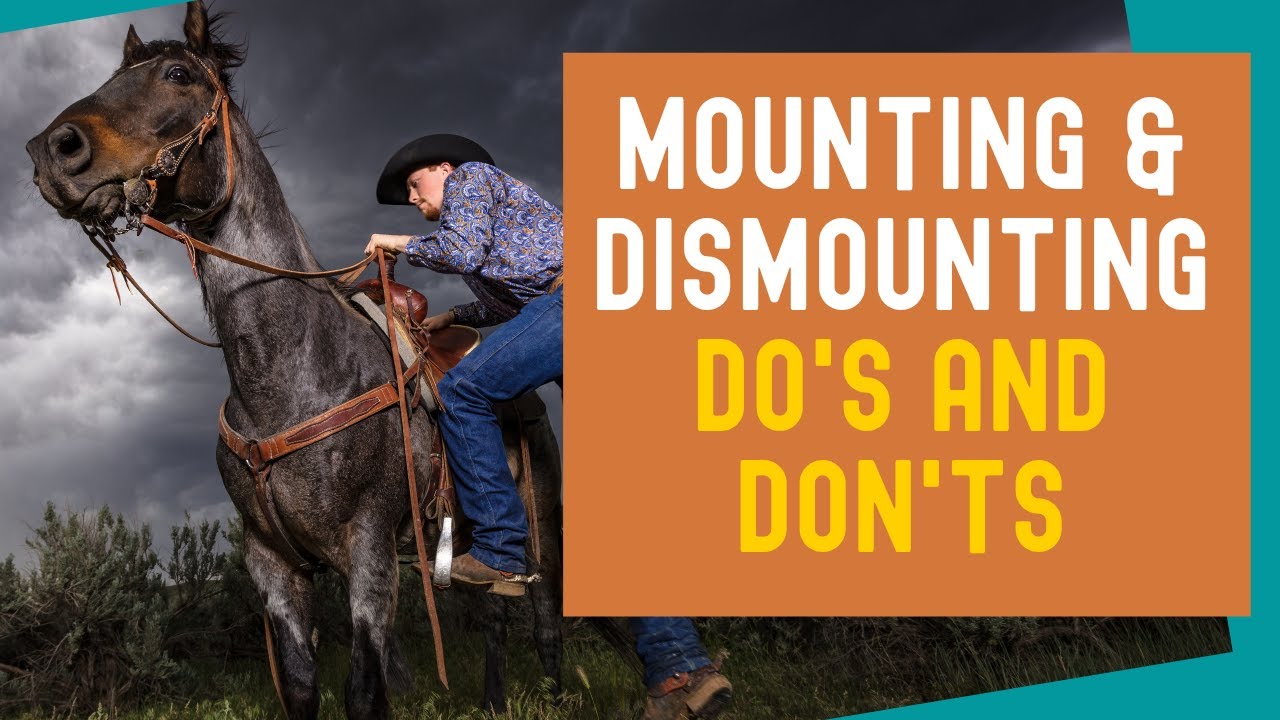 Mounting & dismounting horses using a mounting block (DO'S AND DON'TS ...