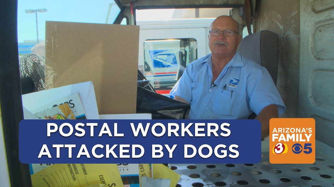 Phoenix ranks #9 in nation for most postal workers attacked by dogs ...
