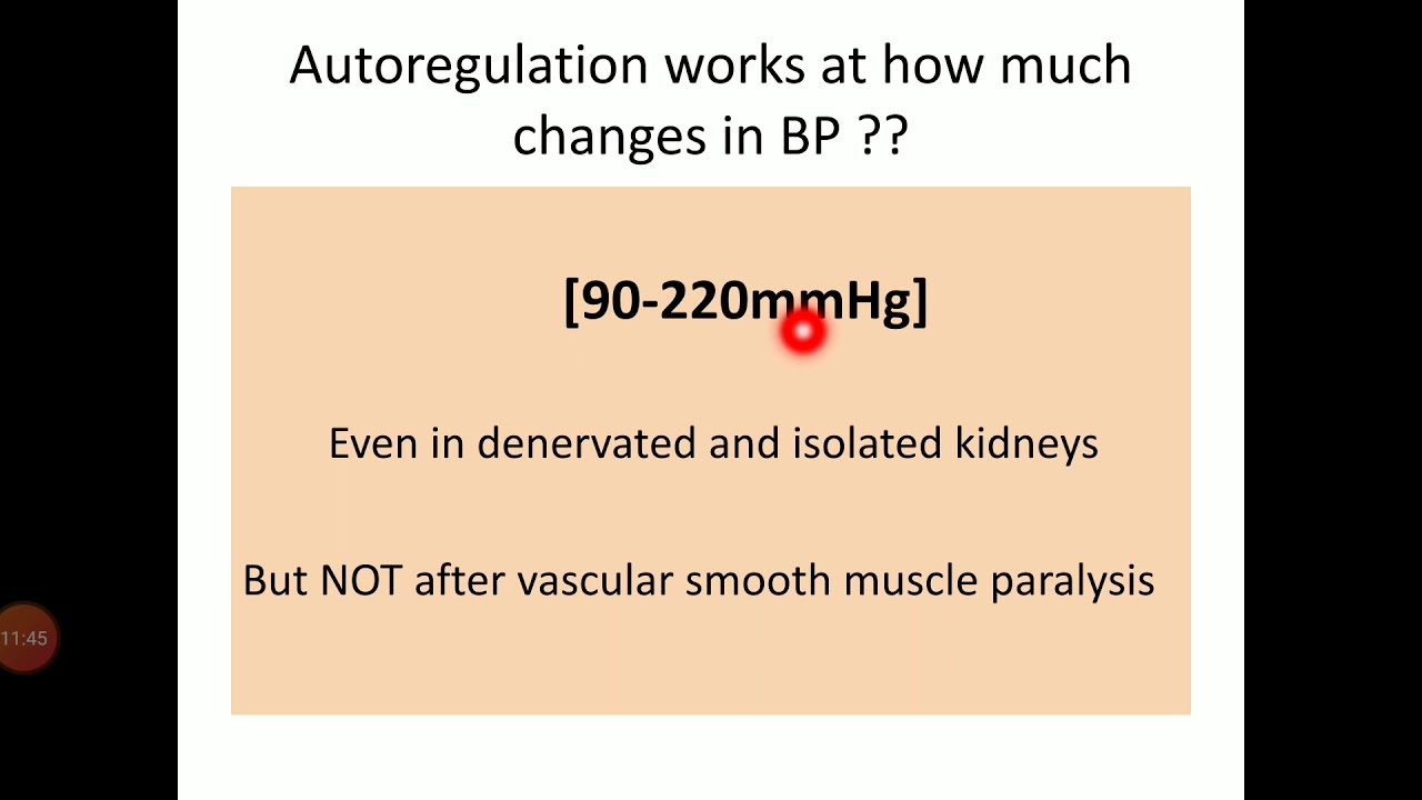 AUTOREGULATION OF RENAL BLOOD FLOW (Renal System-VII) - YouTube