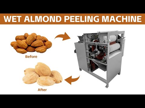 Almond Skin Peeler Machine Working Video|Badam Peeler|Almond Hulling ...