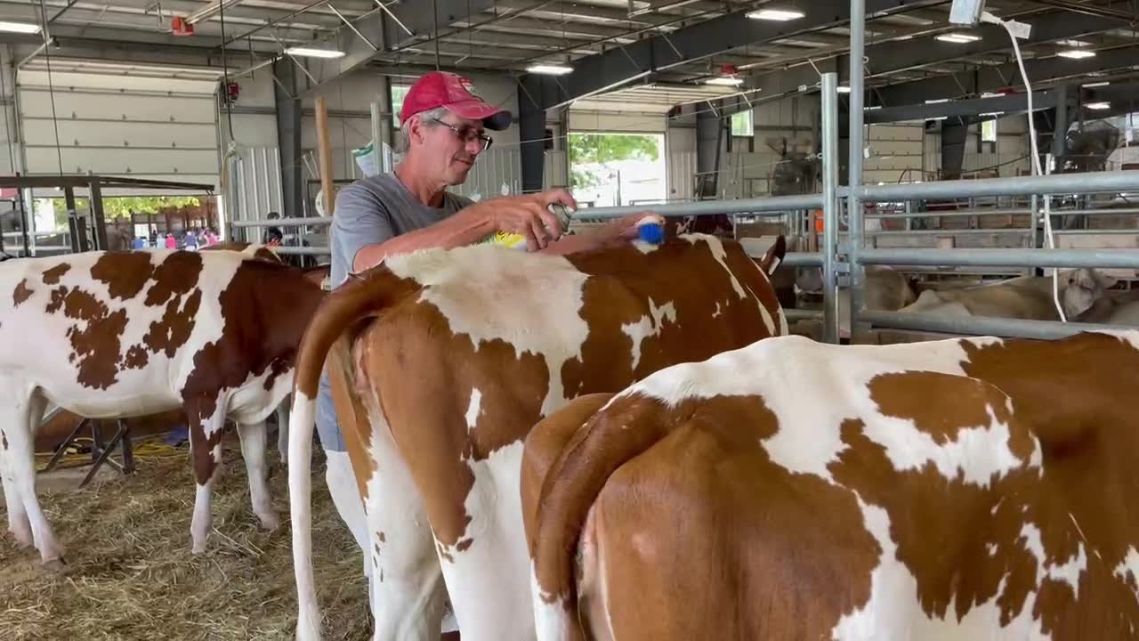 Watch now: First day of the Mississippi Valley Fair - YouTube
