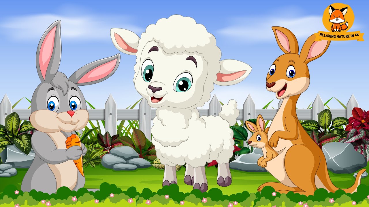 Wonderful Farm Life Sounds: Rabbit, Hare, Sheep, Kangaroo, Turkey ...