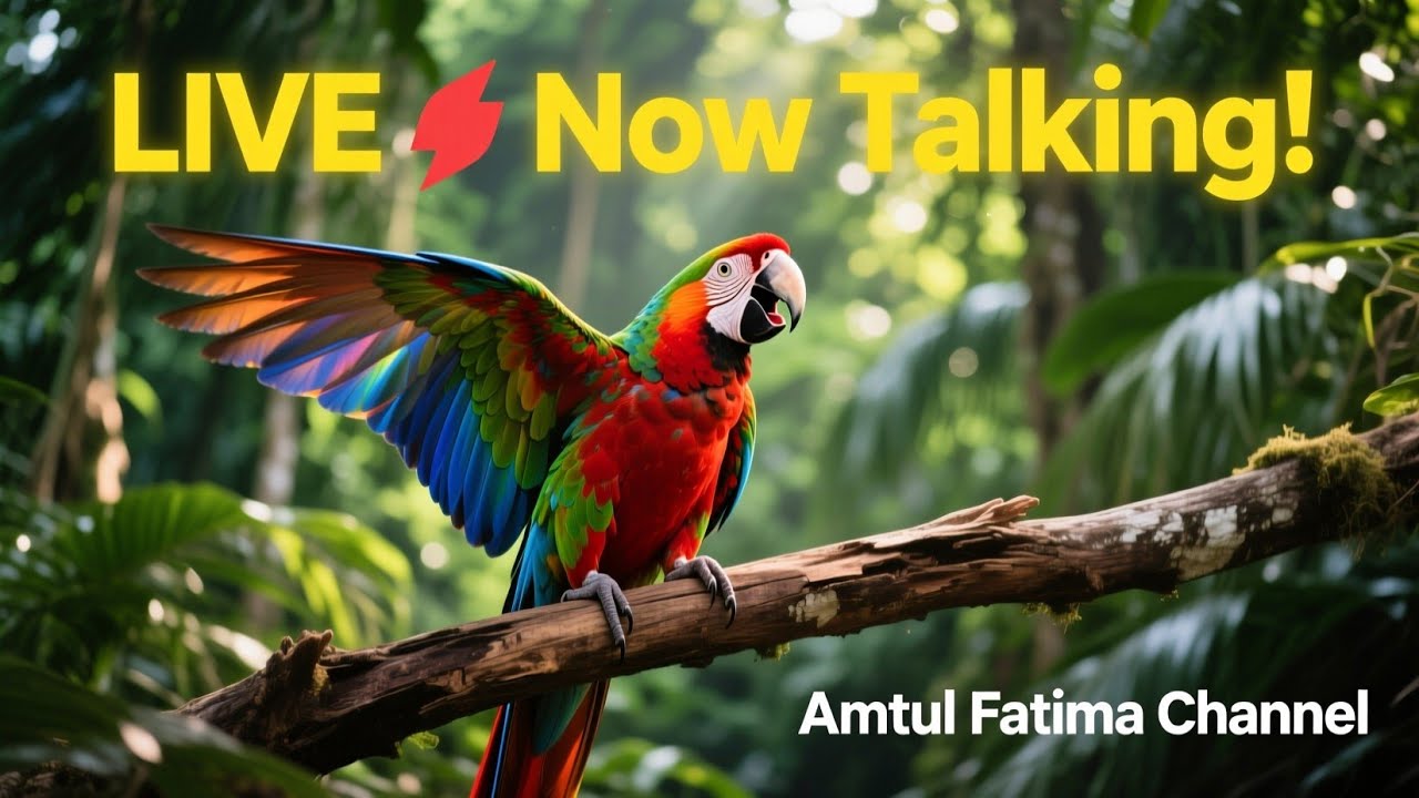 Amtul Fatima is live! - YouTube