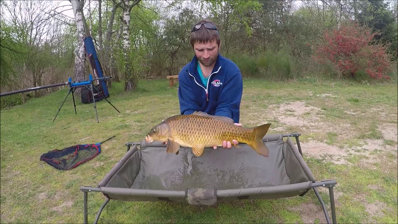 Colmic Atomica NX CARP - YouTube