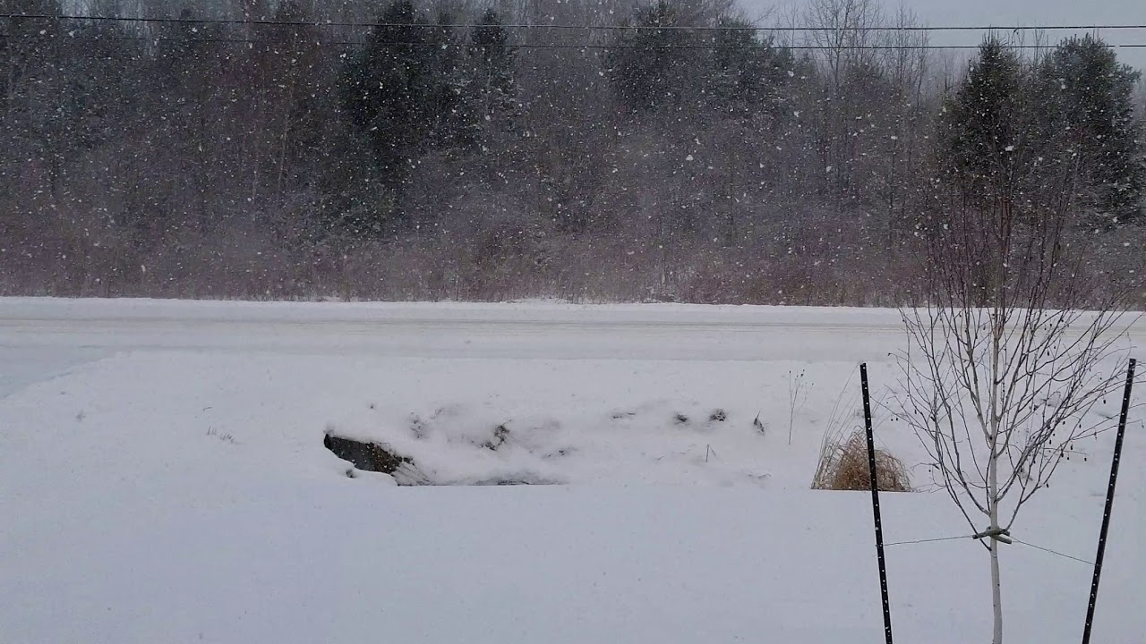 Snow in Owen Sound Jan 2019 - YouTube