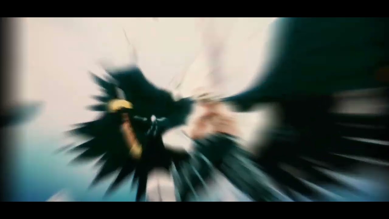 Zoro finally defeated king😎 - YouTube