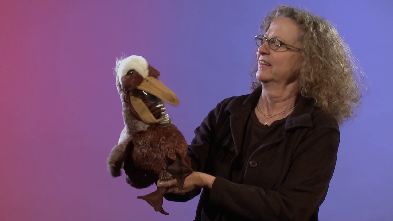 Folkmanis® Pelican Puppet Demo - Retired - YouTube