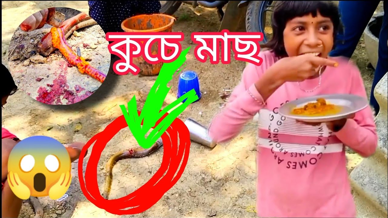 কুচে মাছ 🤤easy way to cut kuche fish,how to cut kuche fish,village ...