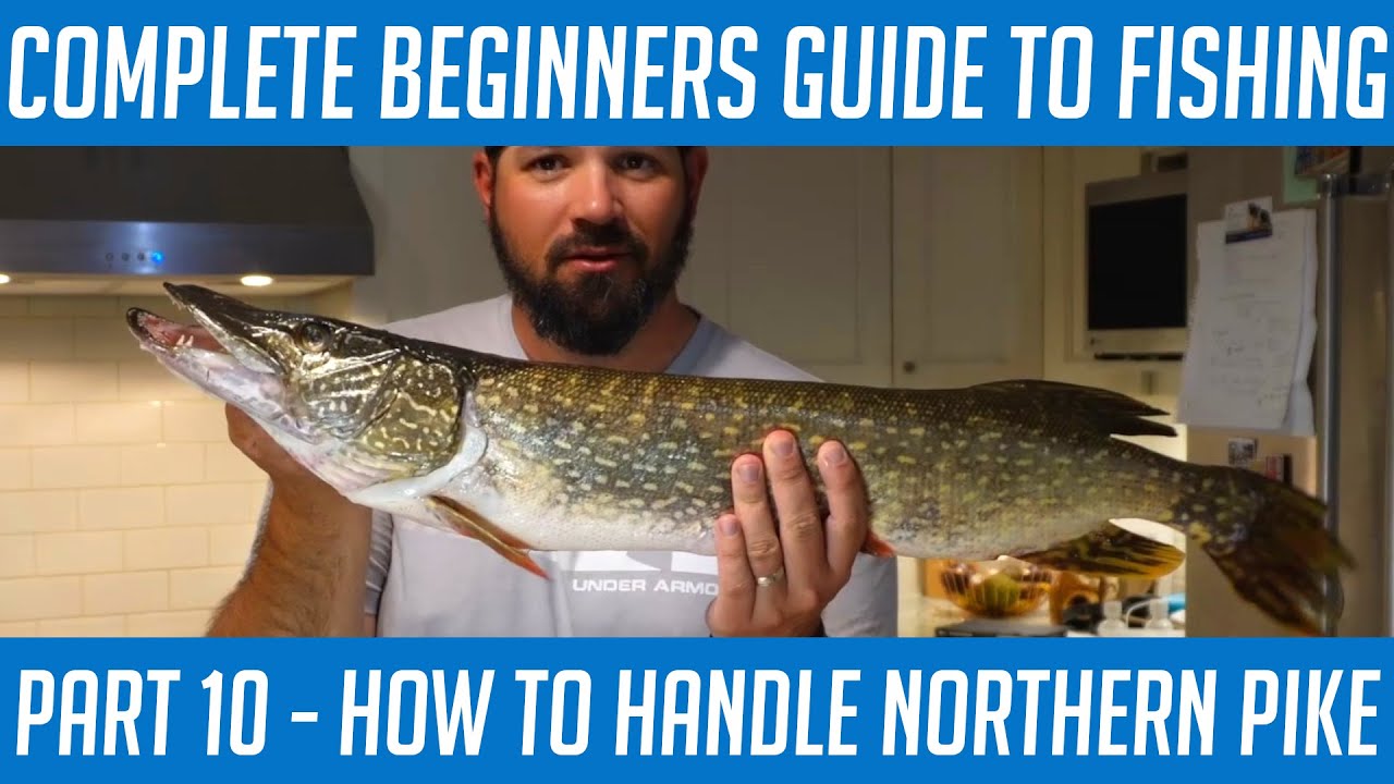 How to Handle Northern Pike - How to Fish - Part 10 - YouTube