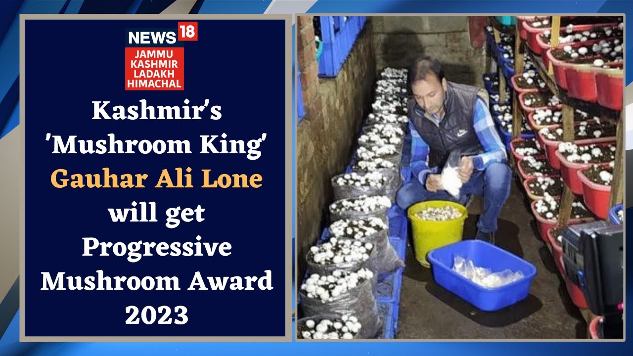 Kashmir's 'Mushroom King' Gauhar Ali Lone will get Progressive Mushroom ...