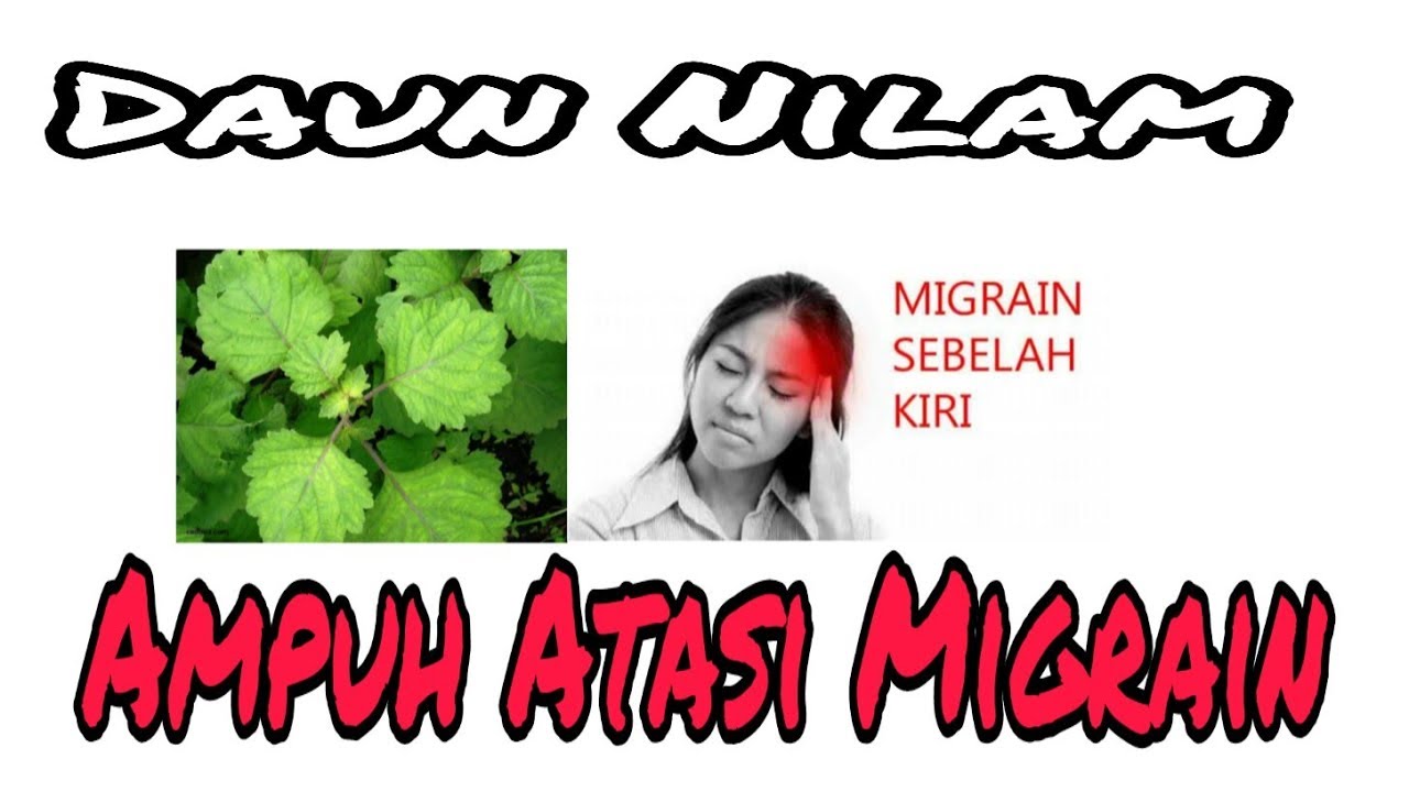 Manfaat daun Nilam untuk Migrain - YouTube