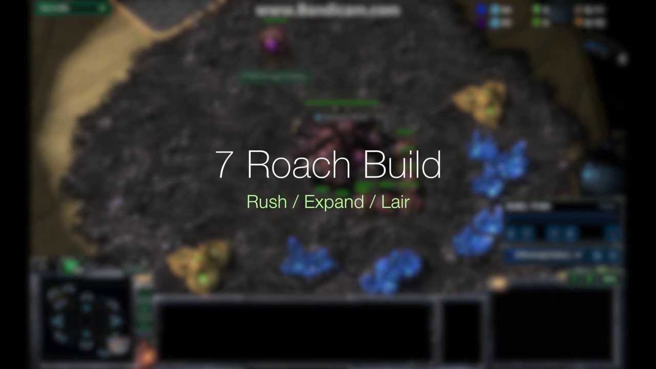 StarCraft 2: Heart of the Swarm - 7 Roach Rush / Expand / Lair - YouTube