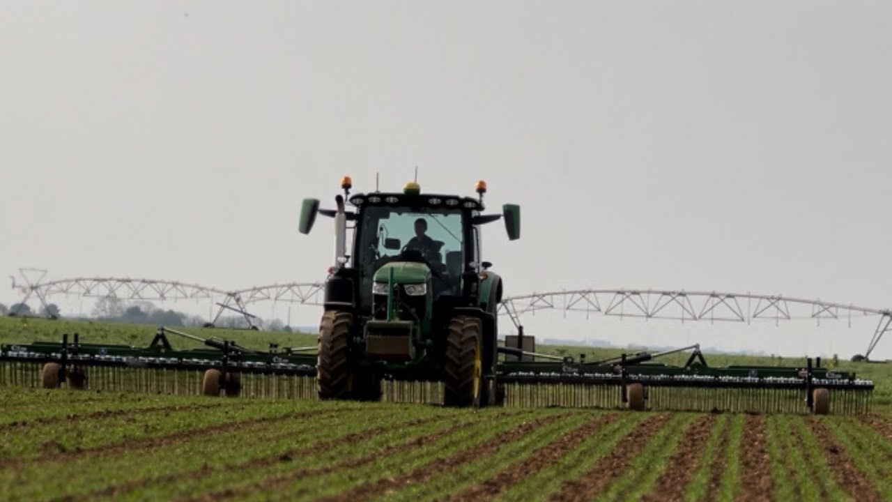🟢🟡 Herse étrille de 12m | 🌾Désherbage mécanique sur blé bio | Jd 6r150 ...