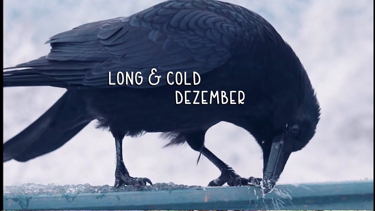 Crows - A Long & Cold December - YouTube