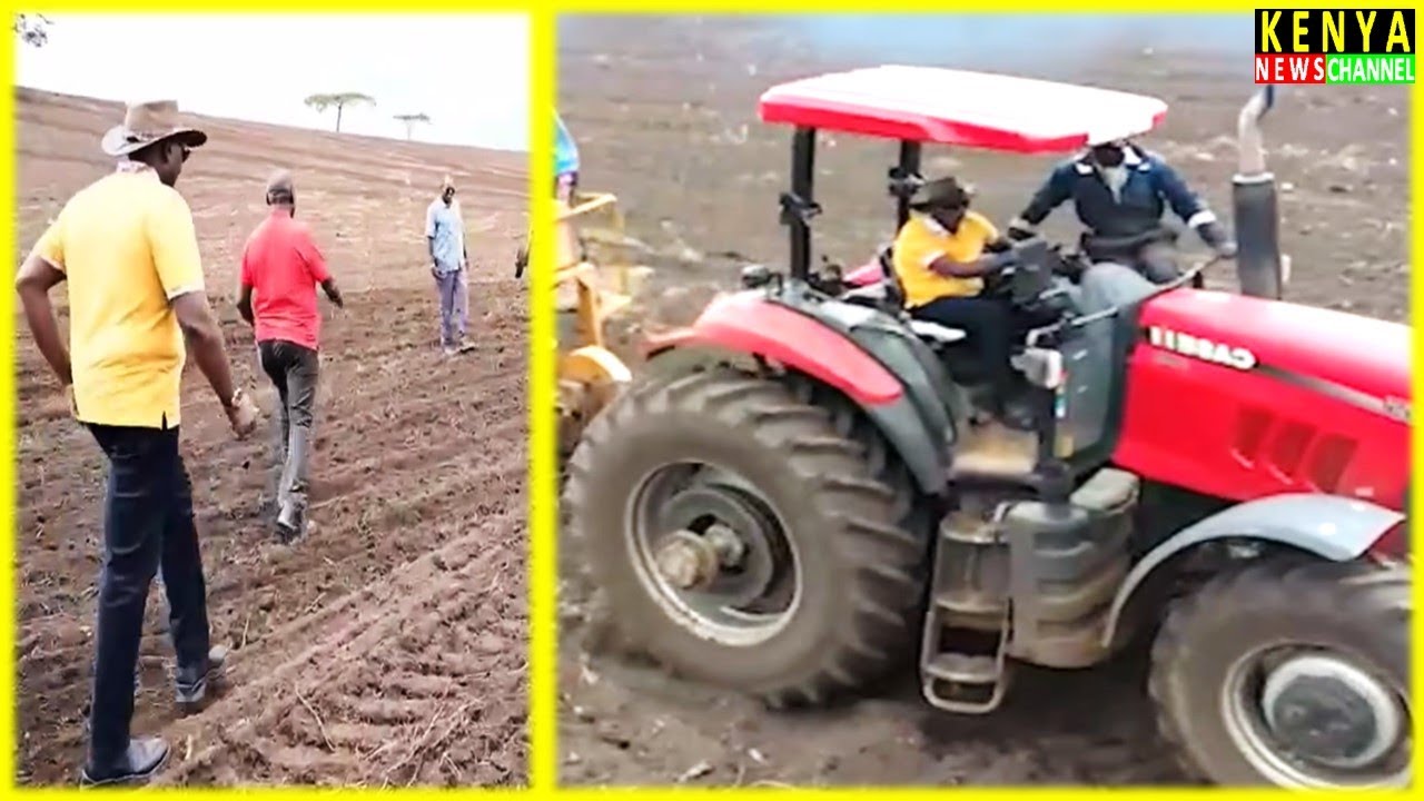 See what happened when Ruto visited his Huge Farm - YouTube