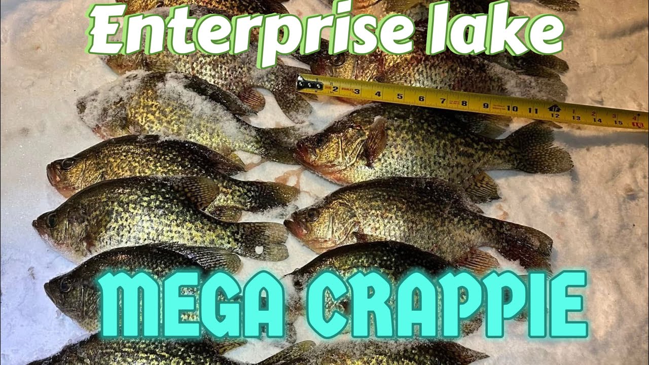 Enterprise lake Wisconsin: Mega Crappie! - YouTube
