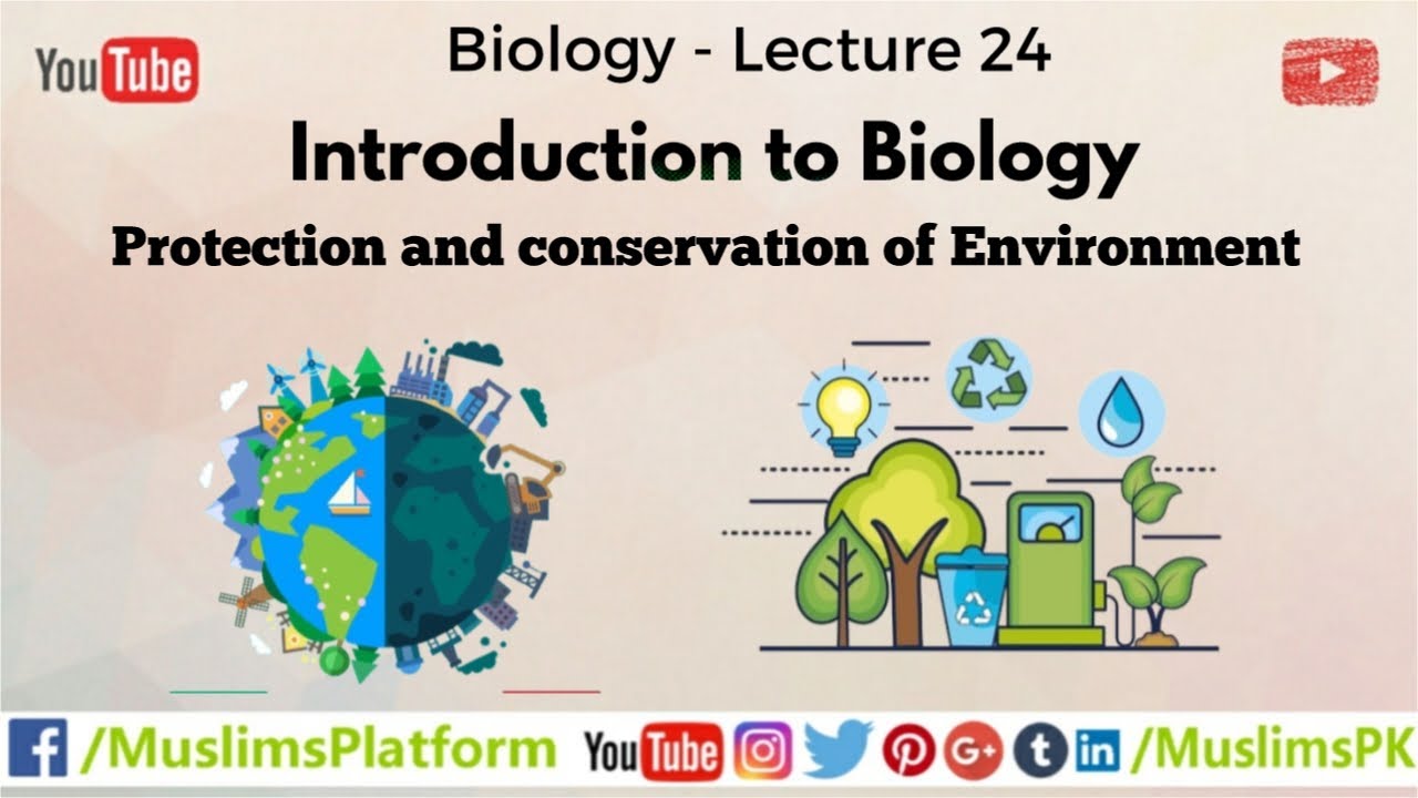 Introduction to Biology | Protection and conservation of environment ...