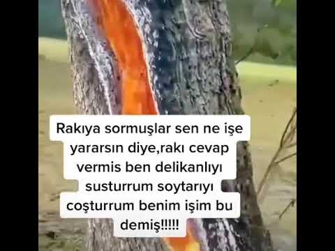 baba sözü rakı