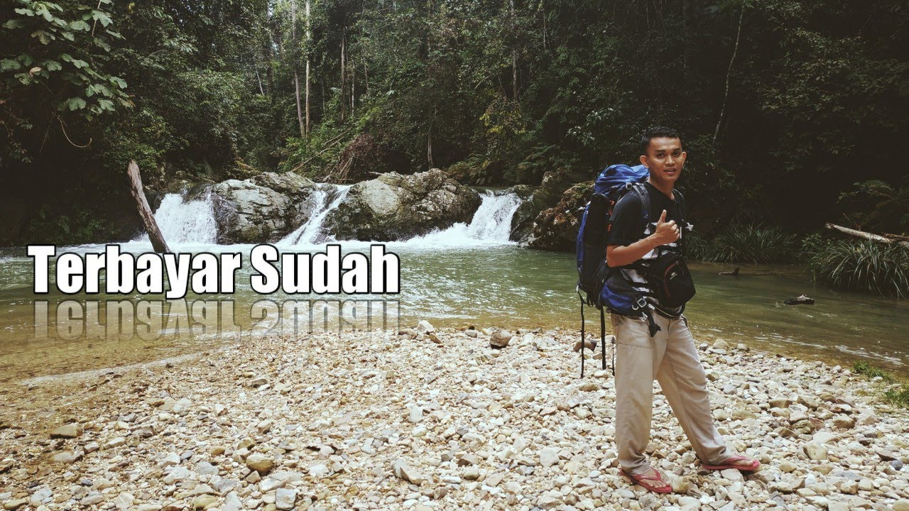 Terseret ke jurang saat membela hutan menuju tempat wisata Batu Gajah ...