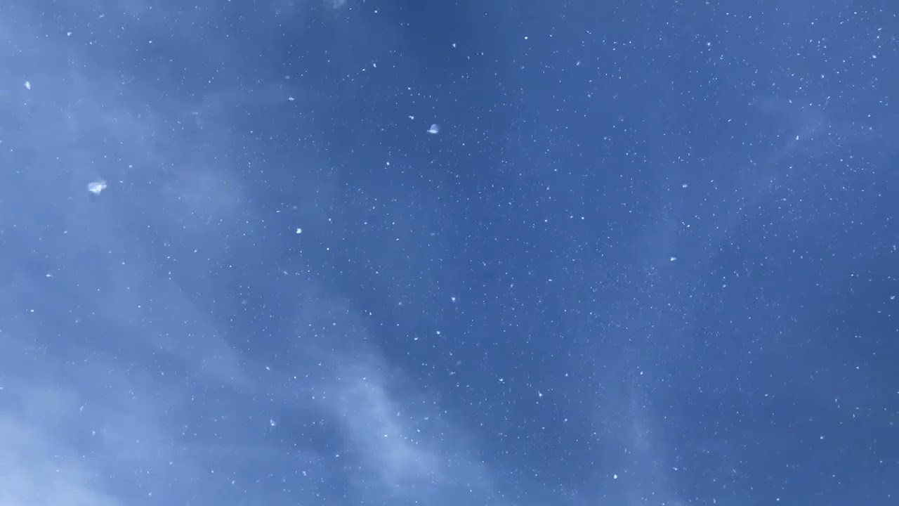 Copyright Free Snowfall Stock Video - YouTube