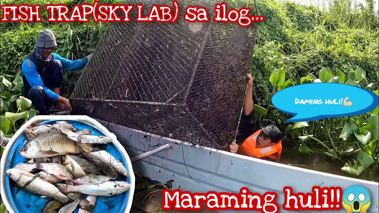PART 1: FISH TRAP SA ILOG(SARI SARING ISDA) + ADOBONG KANDULI SA GATA ...