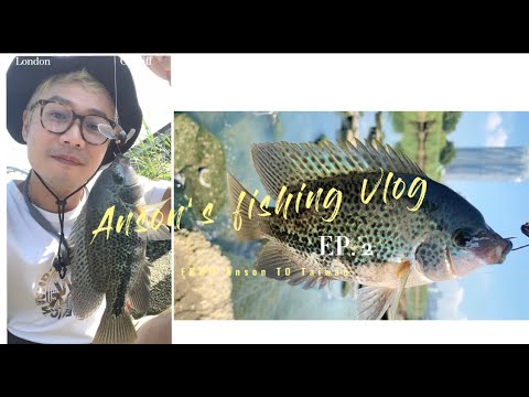 anson lin fishing vlog EP.2 基隆河快閃釣魚1小時 竟然漏財 ＃火口魚 ＃烏魚 - YouTube