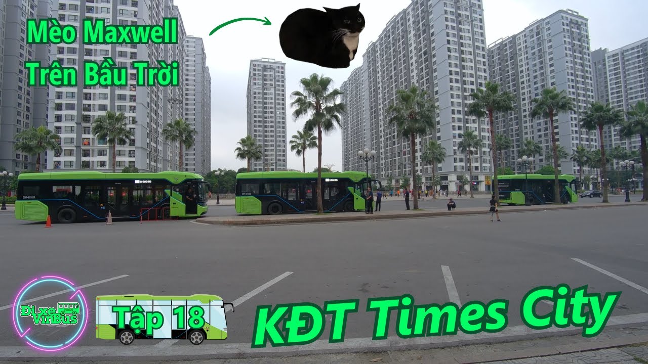Đi Xe VinBus Đến KĐT Times City | Mèo Maxwell Trên Bầu Trời Náo Loạn Cả ...