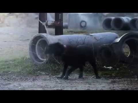 58 Misli 10   Yasta & SanJaR  HD KLİP  2014