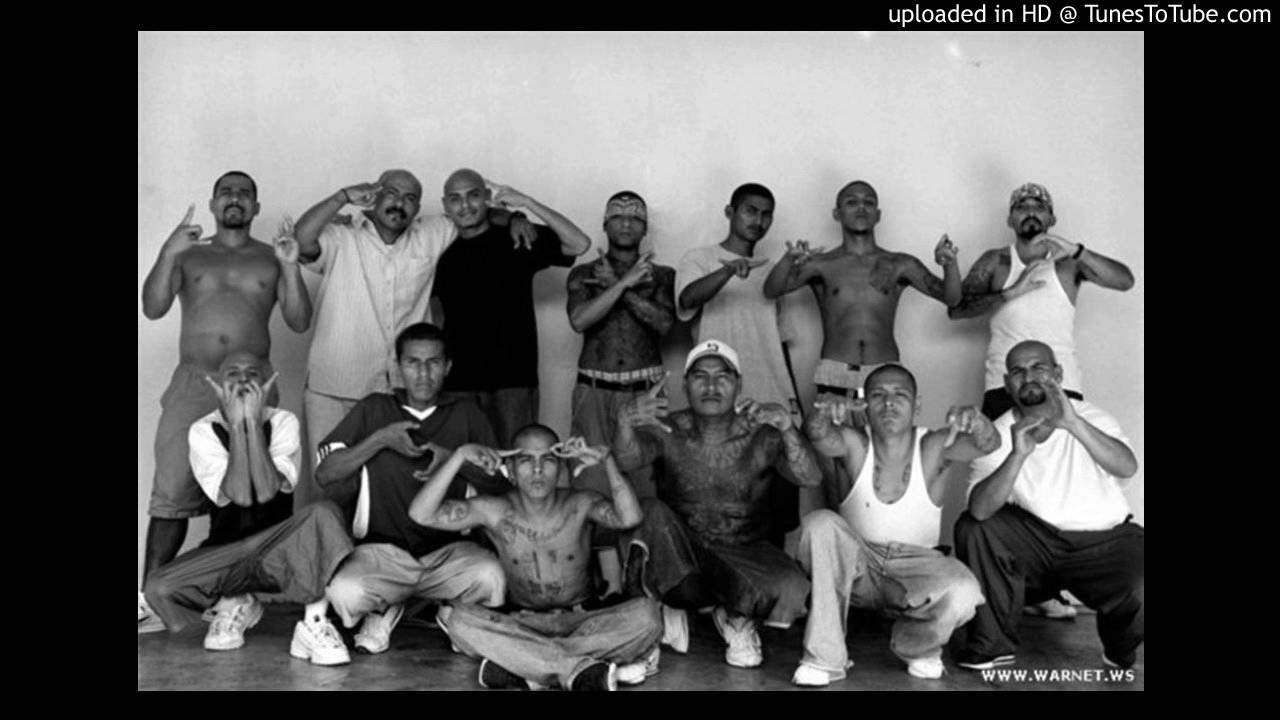 The Rifa Gang Music TMW - YouTube