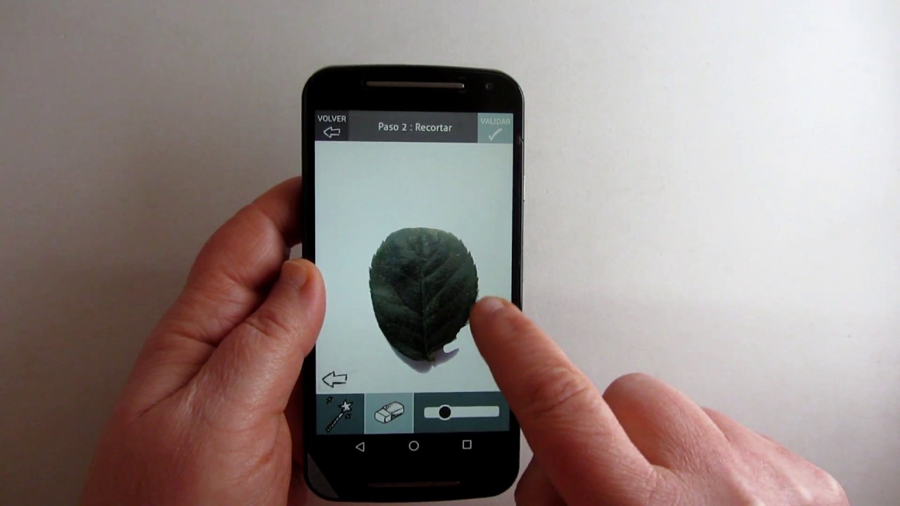 El Herbario Digital / Digital Herbarium - YouTube